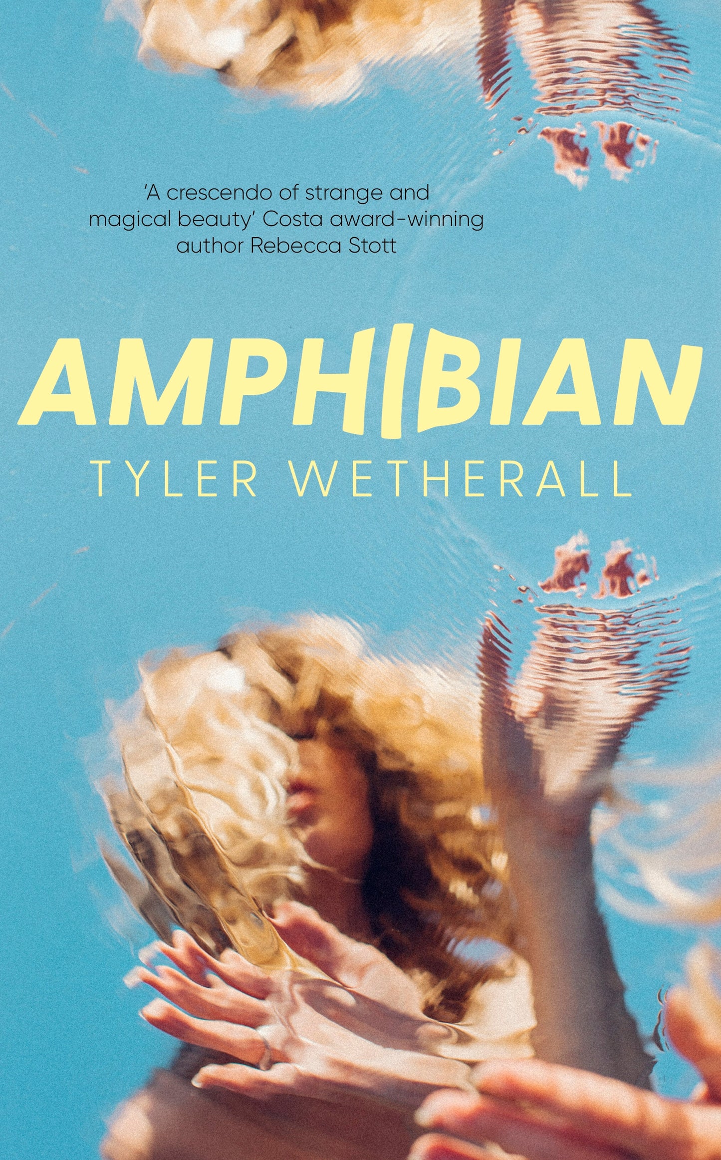 Amphibian | Virago Bookshop