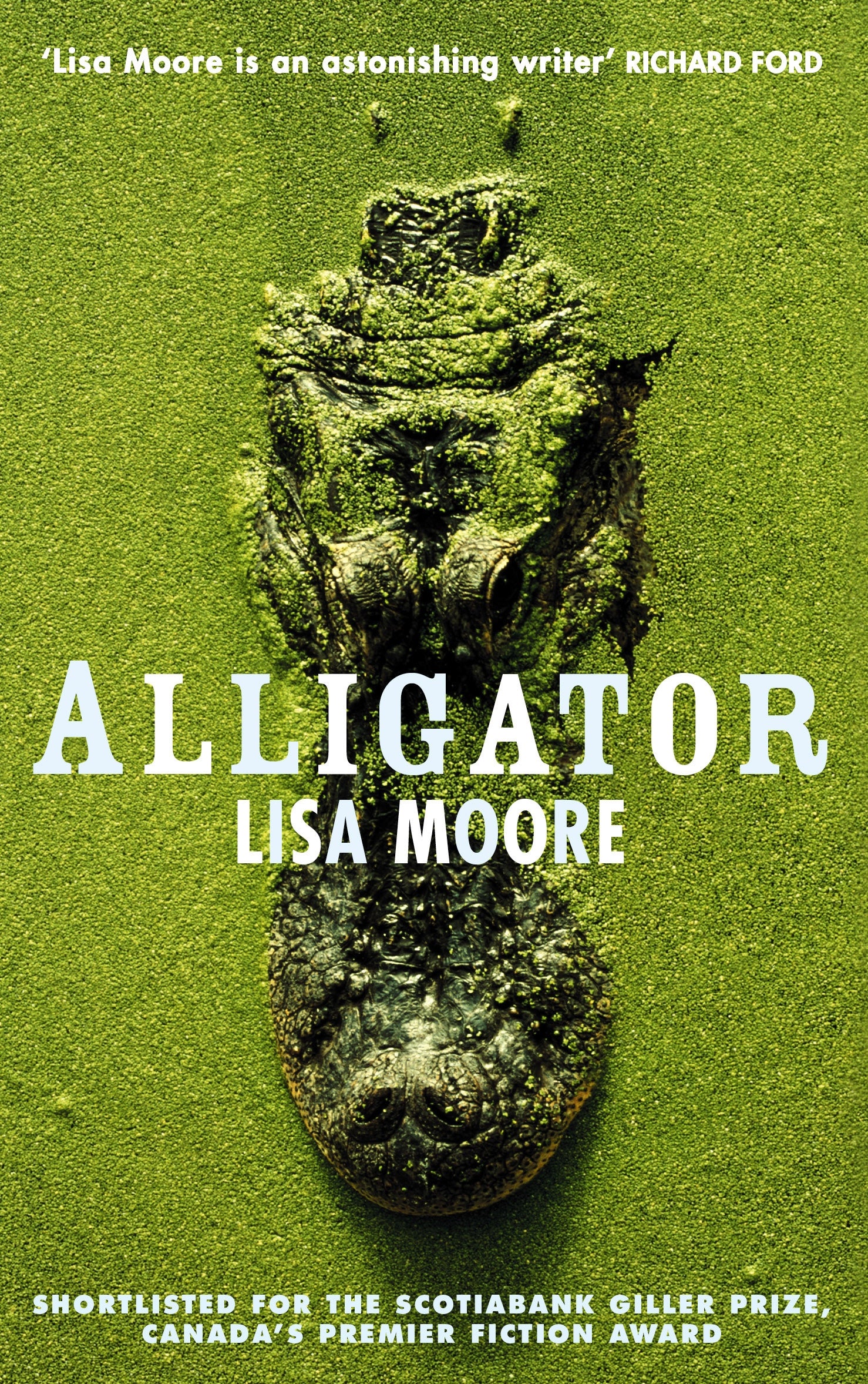 Alligator | Virago Bookshop